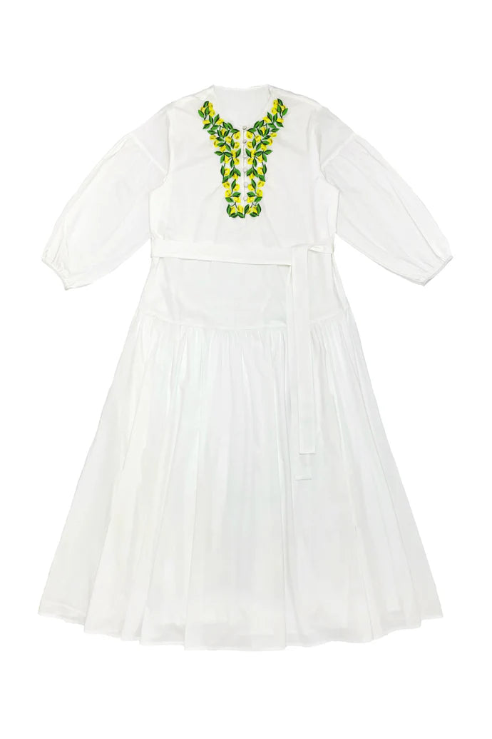 Elle Oh Elle Lemon Embroidered Dress | Sugar and Spice Children's Boutique